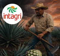 El Cultivo de Haba | Intagri S.C.